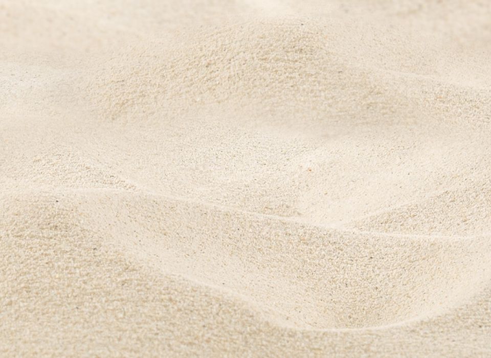 Shop Coswell - Vendita Online